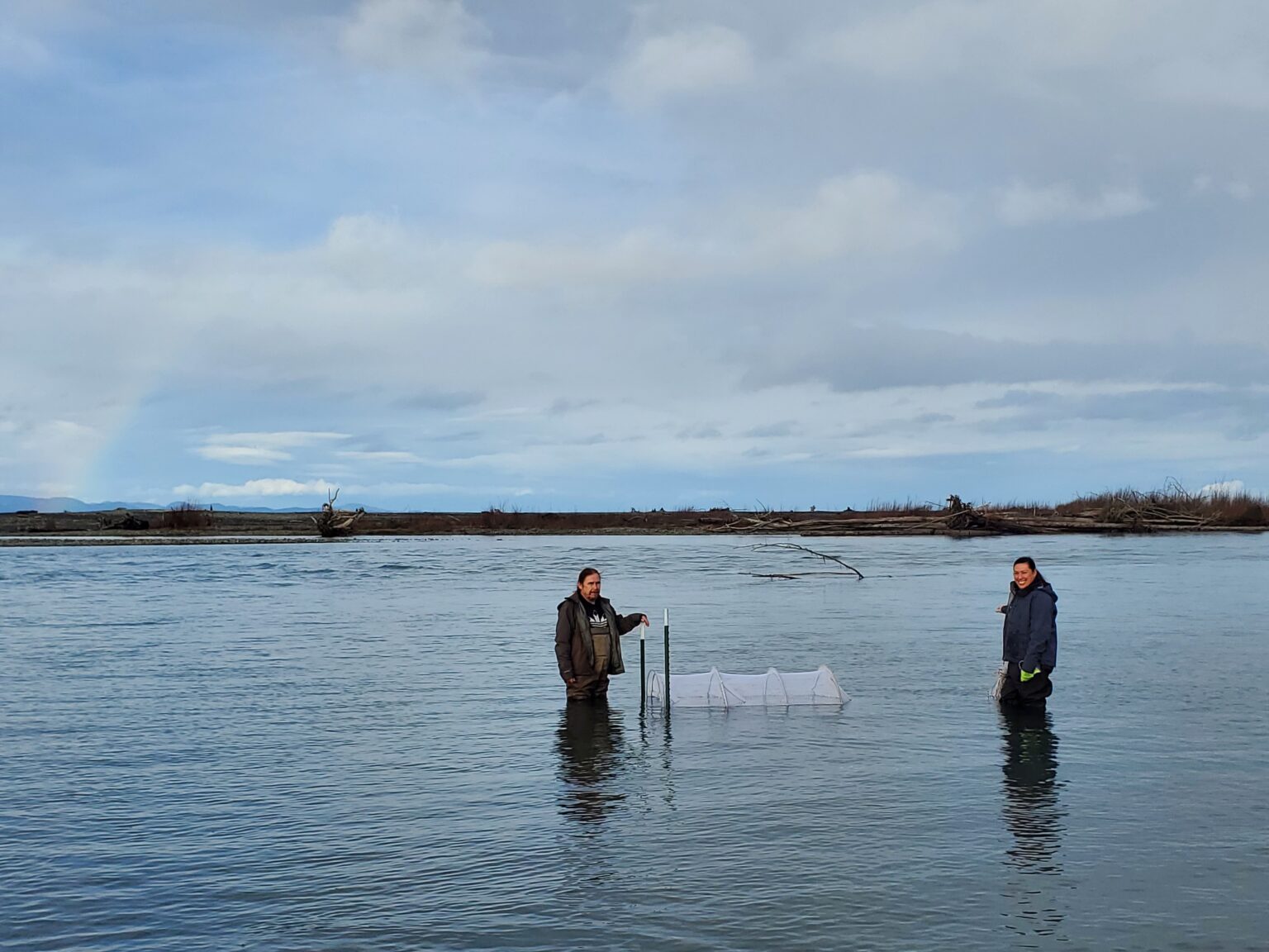 Fisheries | Lower Elwha Klallam Tribe