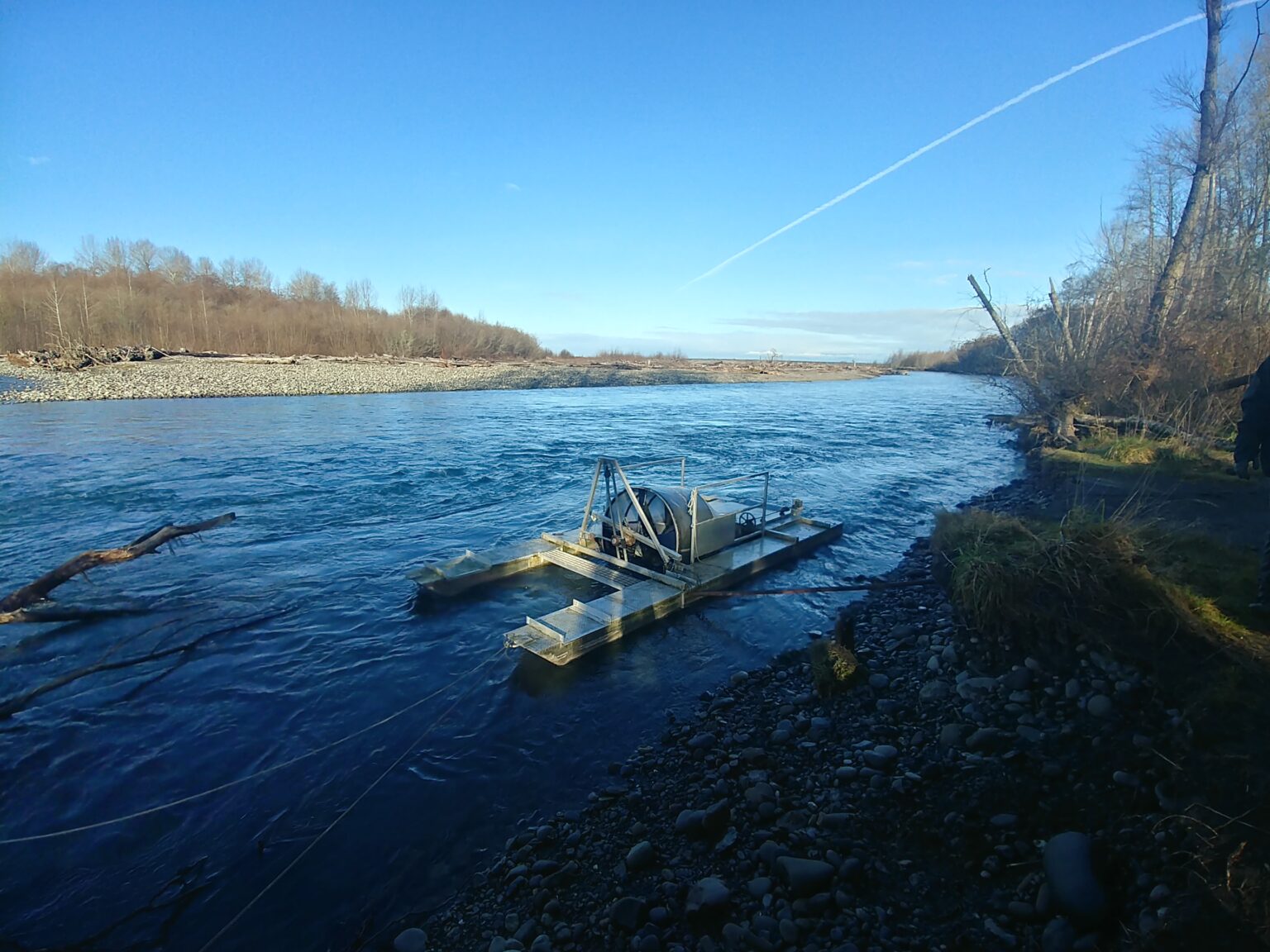 Fisheries | Lower Elwha Klallam Tribe